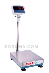DS Bench Scale